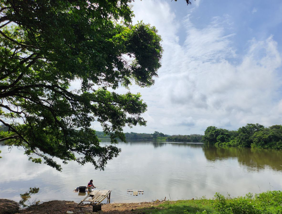 Aula Virtual: All courses